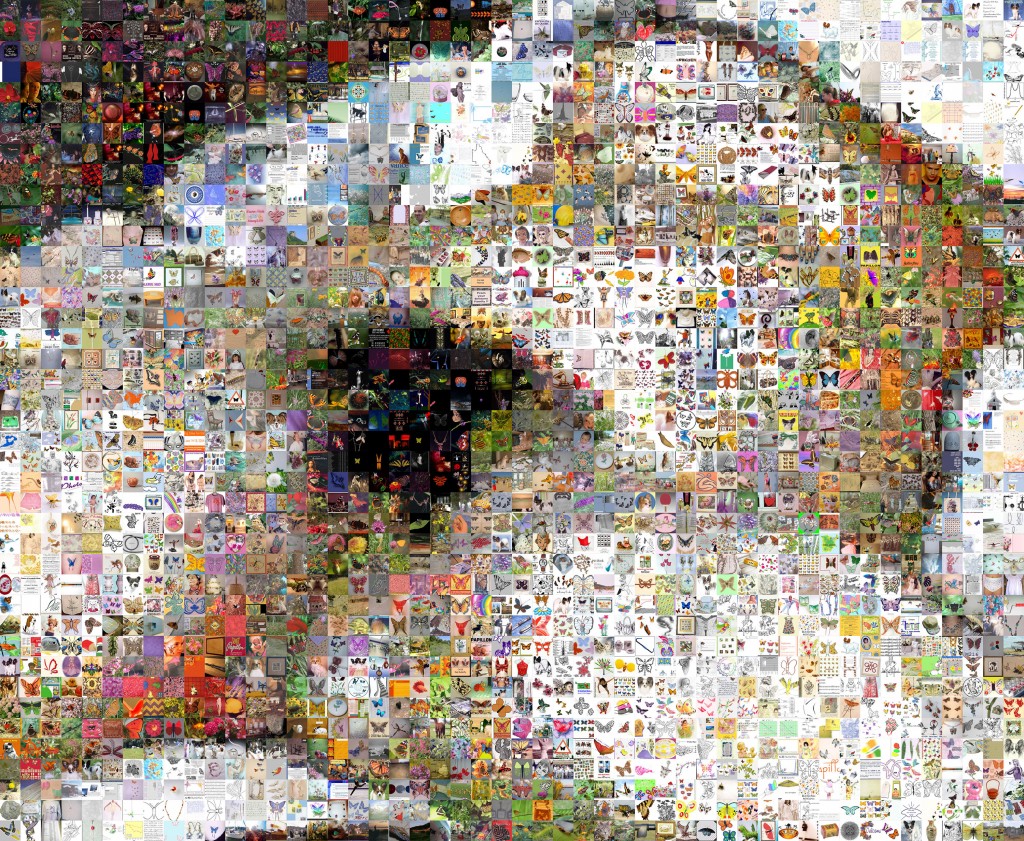 Photographie – Reynald Drouhin