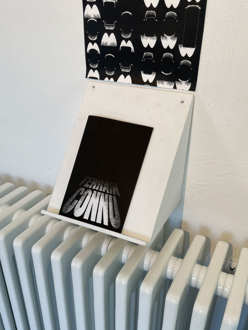 Terrain connu / Sara Dumas – DataFlow